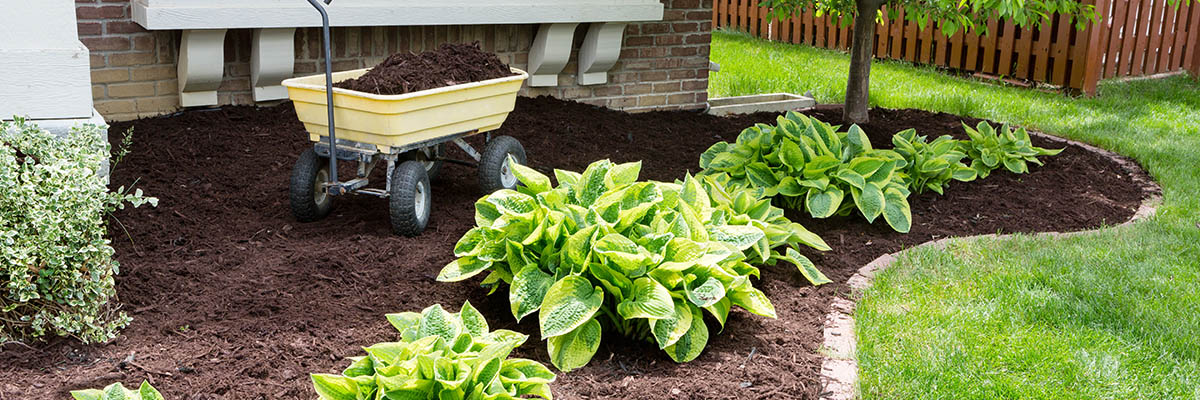 Mulching 101: The Basics of Mulching and Why It Matters